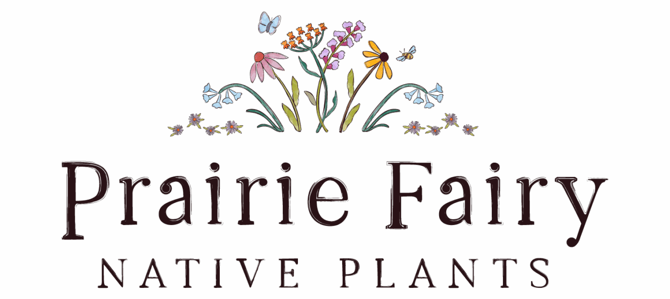 Prairie Fairy Native Plants