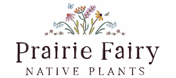 Prairie Fairy Native Plants