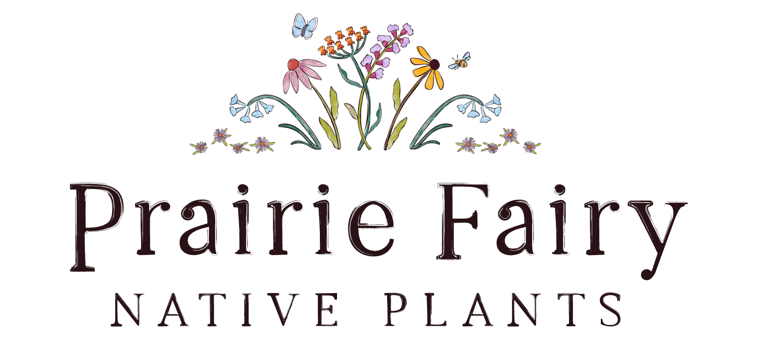 Prairie Fairy Native Plants